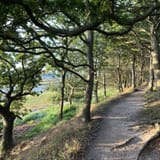Itchenor Circular, West Sussex, England - 247 Reviews, Map | AllTrails