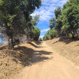 Newhall Pass: Weldon Canyon Trail, California - 236 Reviews, Map ...