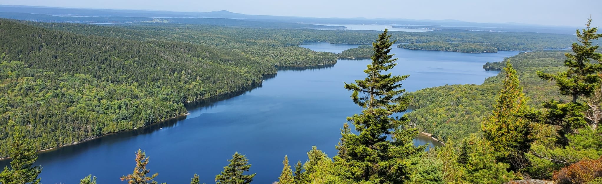 Beech Mountain South Ridge Loop: 422 Reviews, Map - Maine | AllTrails