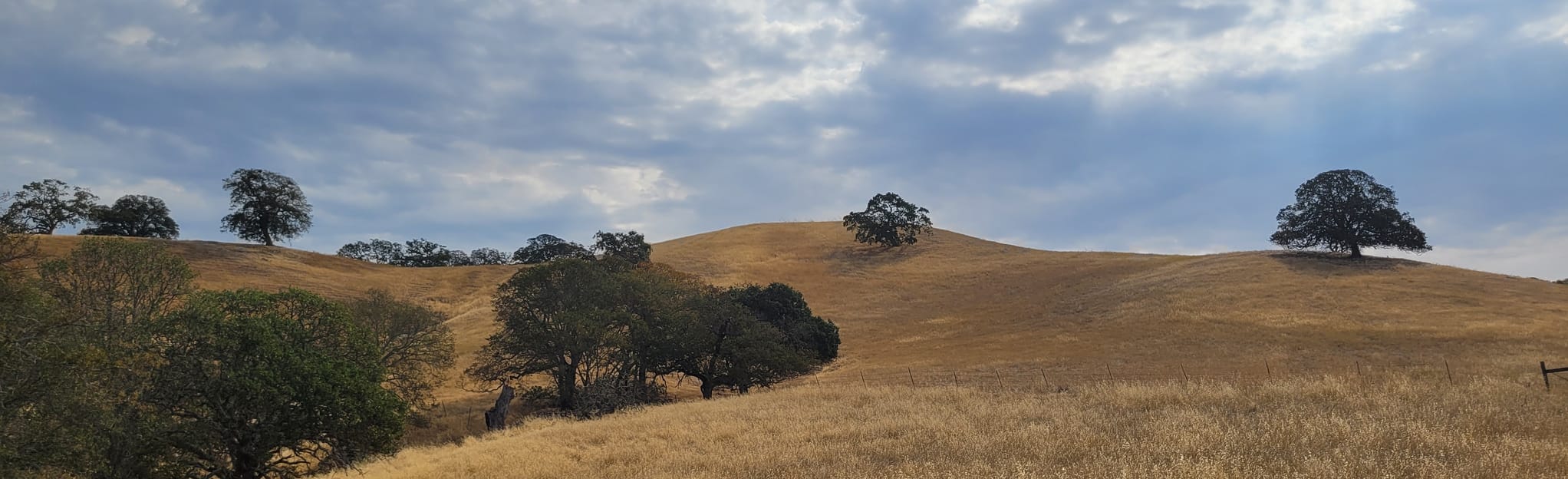 Diablo Scenic, Shell Ridge, Fairy Lantern, and Briones-Mt. Diablo Loop ...