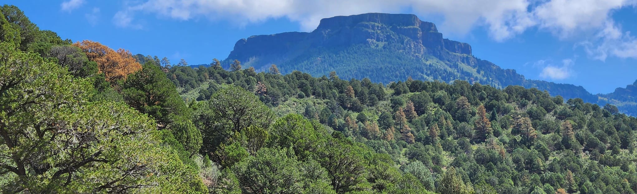 Lower Lone Cub, Upper Lone Cub, and Poison Canyon Loop, Colorado - 6 ...