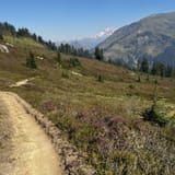 White Pass Pilot Ridge Loop Trail, Washington - 116 Reviews, Map ...