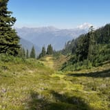 White Pass Pilot Ridge Loop Trail, Washington - 116 Reviews, Map ...