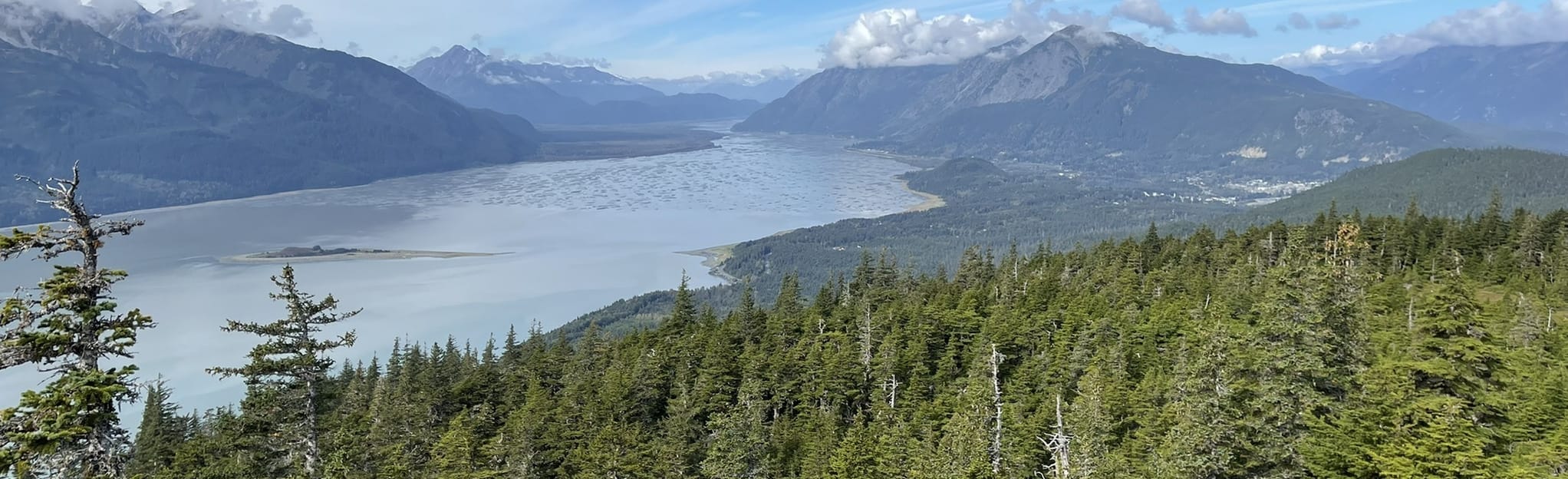 Mount Riley Trail, Alaska - 105 Reviews, Map | AllTrails