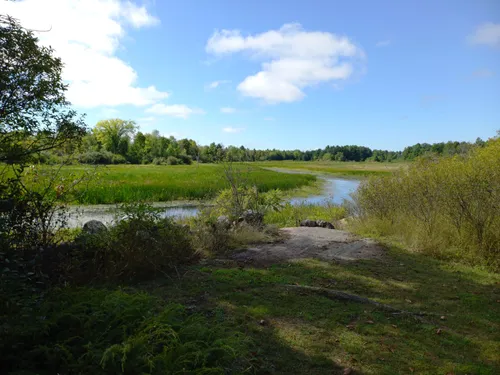 Best Hikes and Trails in Murphy's Point Provincial Park | AllTrails
