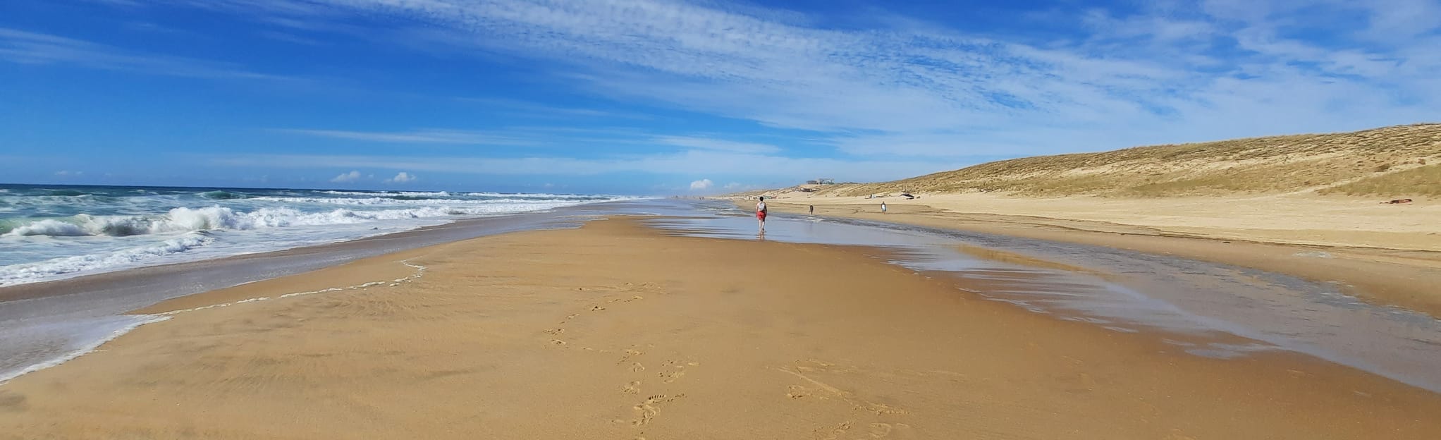 Forêt et Plage des Casernes, Landes, France - 13 Reviews, Map | AllTrails