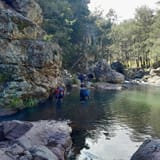 Green Gully Track: Full Loop, New South Wales, Australia - 19 Reviews ...