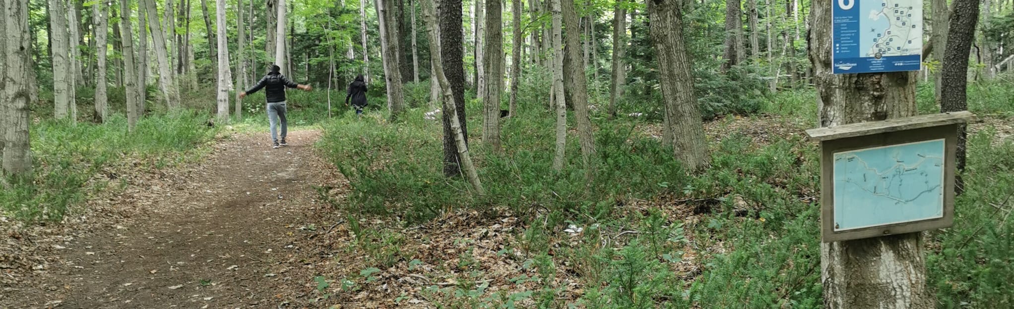 Port Elgin North Shore: 24 Reviews, Map - Ontario, Canada | AllTrails