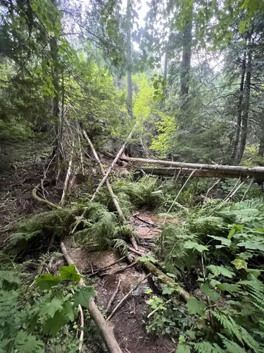 Best Hikes and Trails in Rathdrum | AllTrails Best Hikes and Trails in Rathdrum | AllTrails