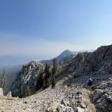 Bridger Ridge Trail, Montana - 177 Reviews, Map | AllTrails