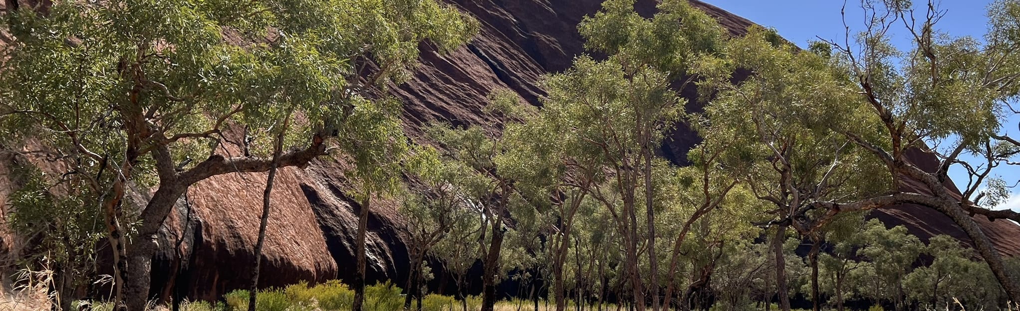 Uluru Base Walk: 388 Reviews, Map - Northern Territory, Australia ...