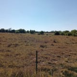 Osage Nature Trail, Kansas - 168 Reviews, Map | AllTrails