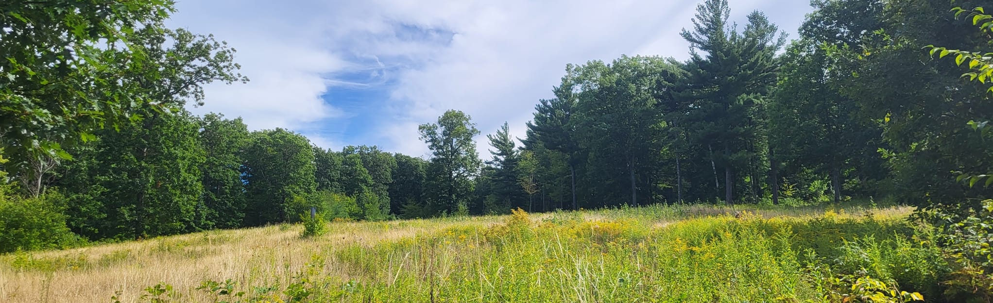 Redemption Rock via Mid State Trail Loop: 55 Reviews, Map ...