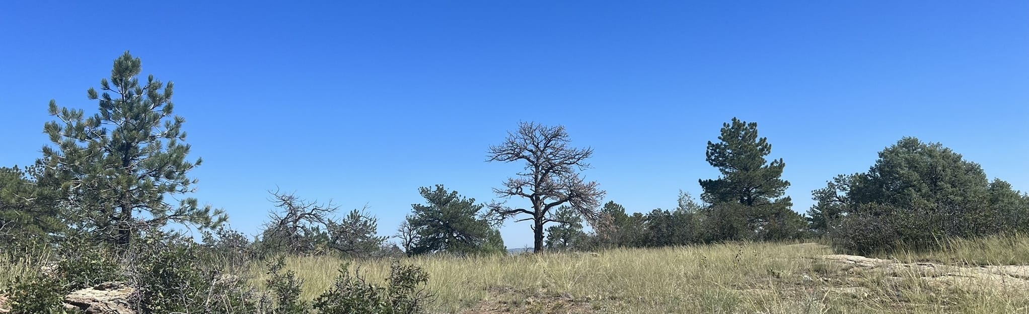 AllTrails | Chuck's Loop and Legacy Trail: 391 Reviews, Map - Colorado