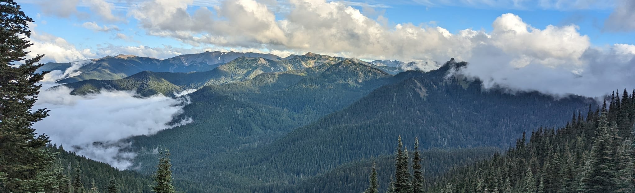Hurricane Ridge Loop From Port Angeles: 3 Reviews, Map - Washington ...