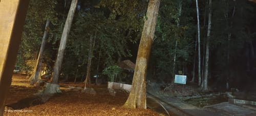 Best Hikes and Trails in Bukit Panchor State Park | AllTrails
