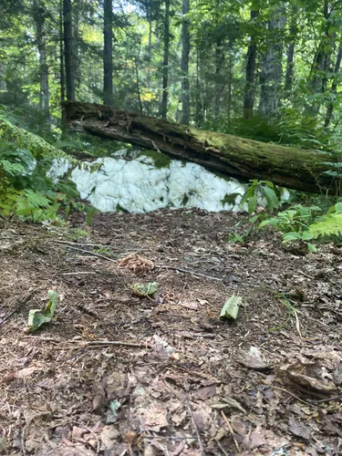 Best Hikes and Trails in Coolidge State Park | AllTrails