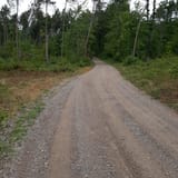 Bagley Rapids Campground, Wisconsin - 8 Reviews, Map | AllTrails