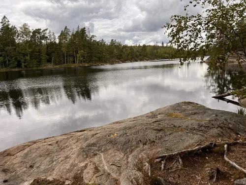 Best Easy Trails in Tyresta National Park | AllTrails