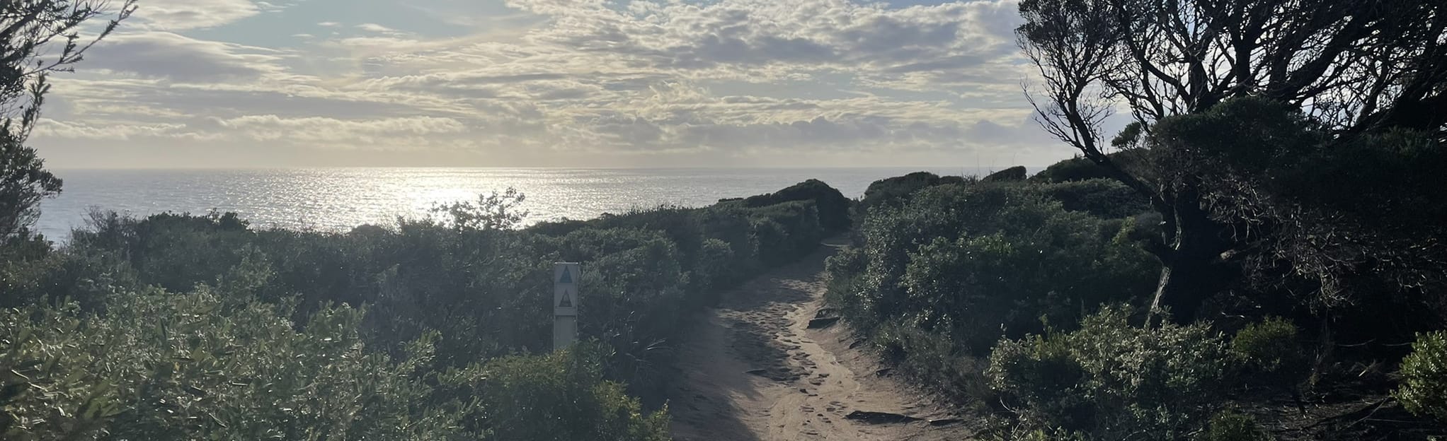 Quenda Trail and Cape to Cape Loop: 71 Reviews, Map - Western Australia ...
