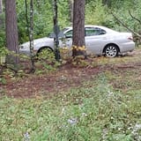 Bagley Rapids Campground, Wisconsin - 8 Reviews, Map | AllTrails