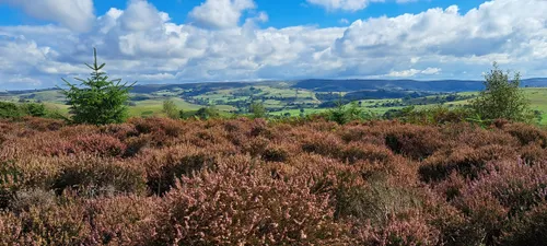 10 Best Walking Trails in Church Stretton | AllTrails