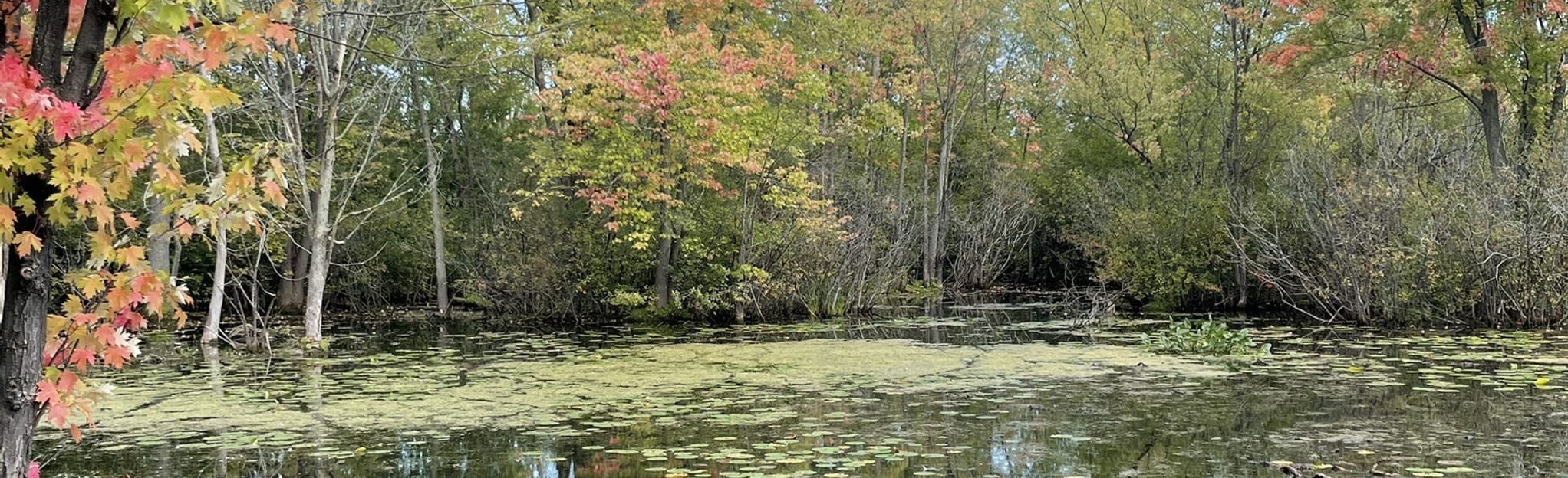 Britannia Bay Loop | Map, Guide - Ontario, Canada | AllTrails