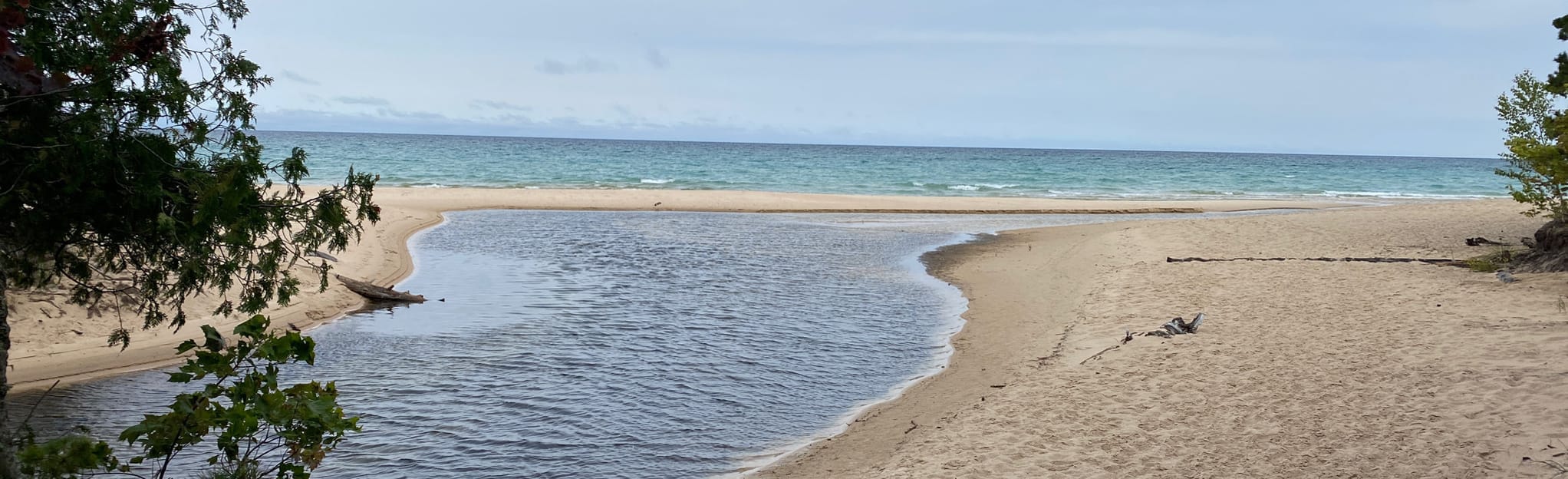 Sevenmile Creek Campground to Coves Campground - Michigan | AllTrails