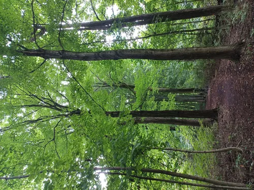 Best Hikes and Trails in Gilfillan Park | AllTrails