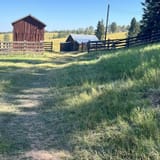 Cheesman Ranch Trail, Colorado - 329 Reviews, Map | AllTrails
