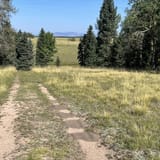 Cheesman Ranch Trail, Colorado - 329 Reviews, Map | AllTrails