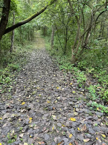 Best Hikes and Trails in Wildlife Prairie Park | AllTrails