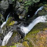 Bushkill Falls Red Trail, Pennsylvania - 507 Reviews, Map | AllTrails