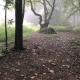 Blue Ridge Gap to Sharp Top, Georgia - 99 Reviews, Map | AllTrails