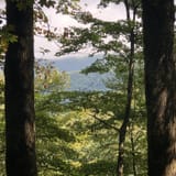 Blue Ridge Gap to Sharp Top, Georgia - 99 Reviews, Map | AllTrails