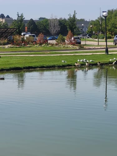 Best Hikes and Trails in Broomfield Community Park | AllTrails