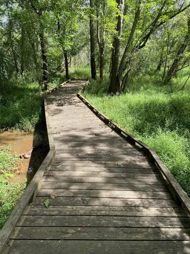 Best Easy Trails in Conestee Nature Preserve | AllTrails