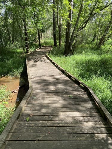 2023 Best Walking Trails in Conestee Nature Preserve | AllTrails