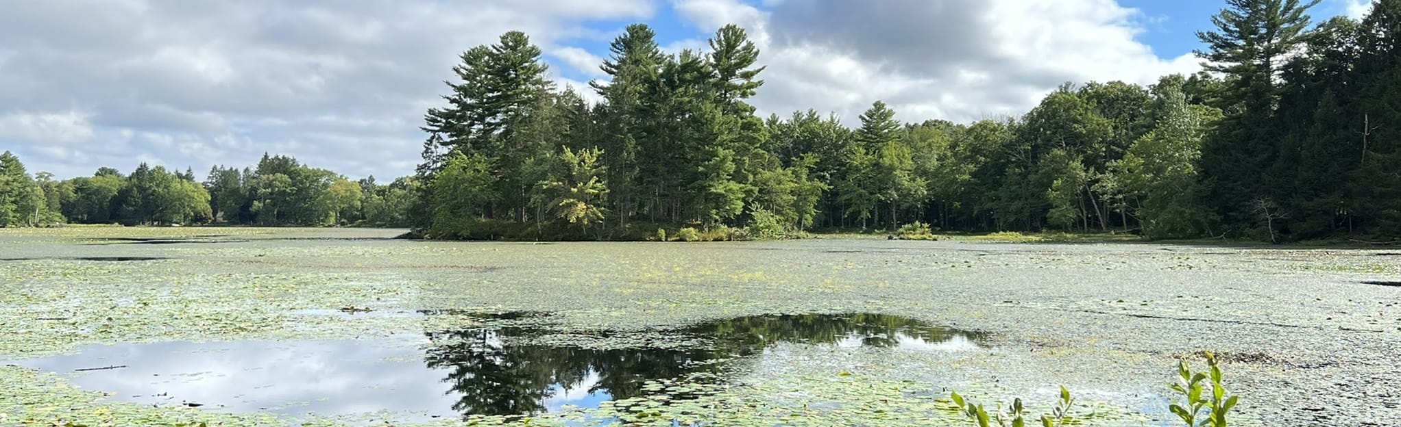 Allanach-Wolf Woodlands, Connecticut - 162 Reviews, Map | AllTrails
