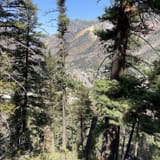 Sutton/Neosho Mine Trail, Colorado - 348 Reviews, Map | AllTrails