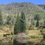 Gilpin Lake Trail, Colorado - 485 Reviews, Map | AllTrails