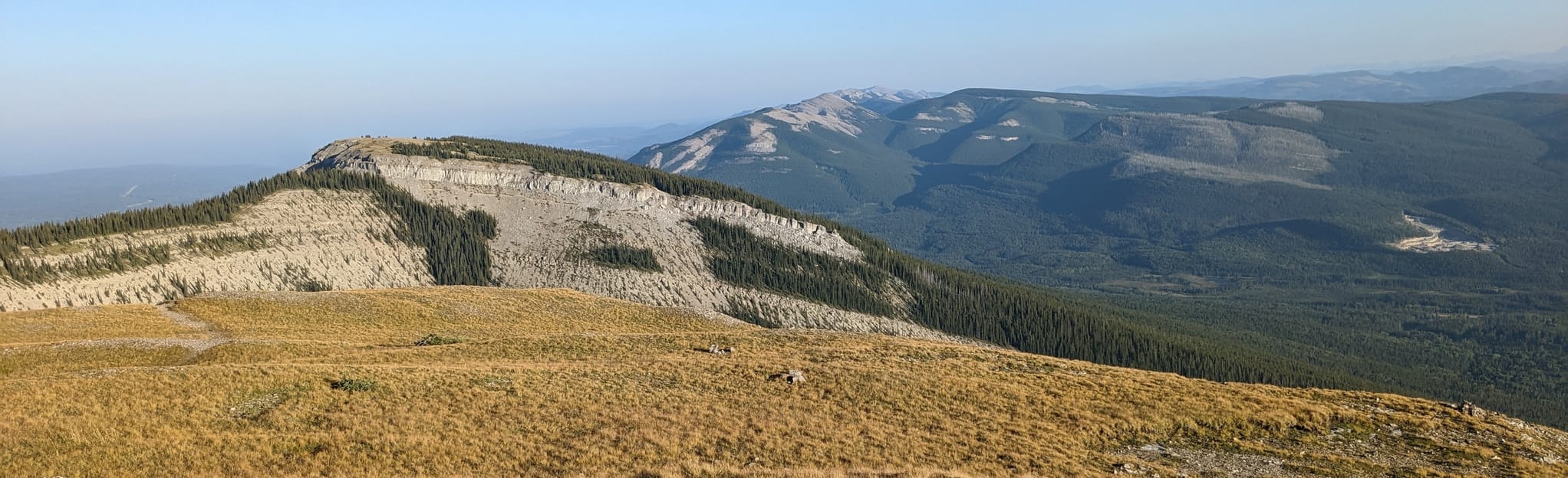 Coliseum Mountain Trail, Alberta, Canada - 1,189 Reviews, Map | AllTrails