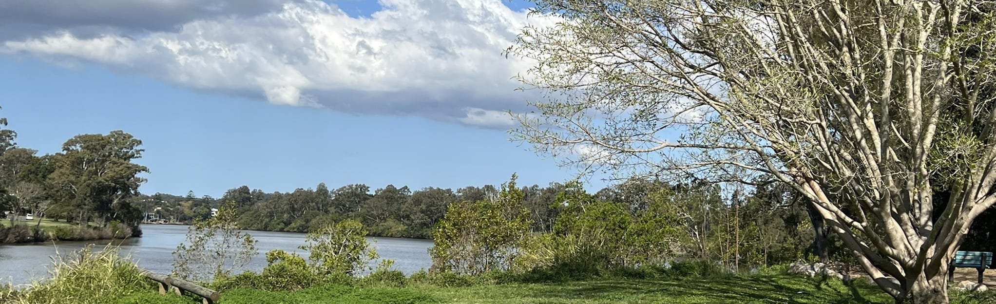 Tarcoola Track: 9 Reviews, Map - Queensland, Australia | AllTrails
