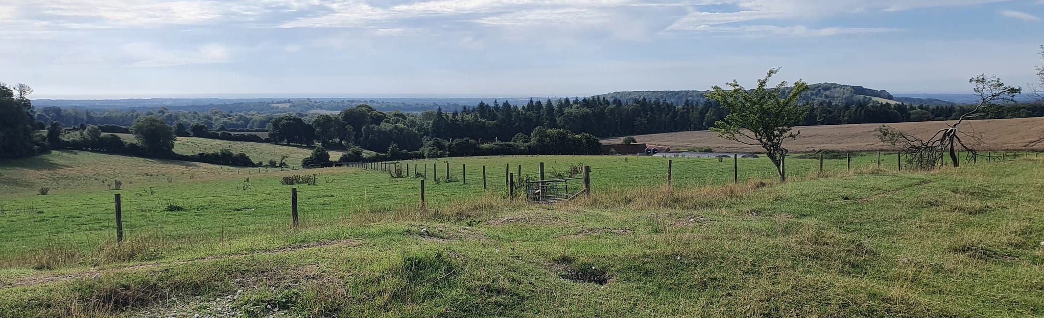 Bignor Hill and Upwaltham Hill via The Denture Walk - West Sussex ...