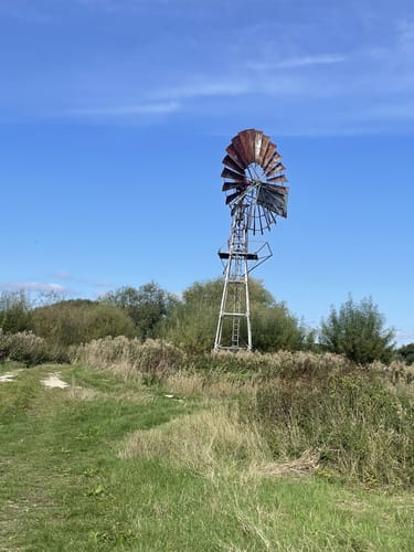 Best Hikes and Trails in Wheldrake Ings Nature Reserve | AllTrails