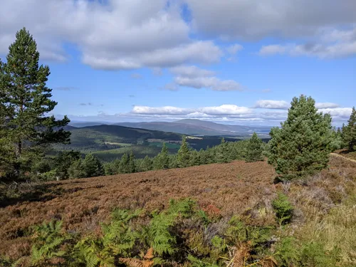 2023 Best 10 River Trails in Aboyne | AllTrails