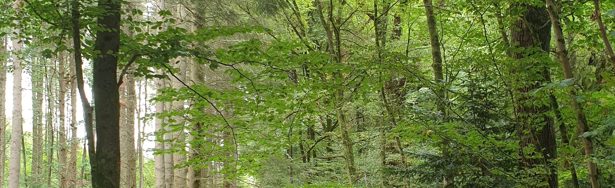 Autour de Marchin : 10 Photos - Liège, Belgique | Randonnée | AllTrails