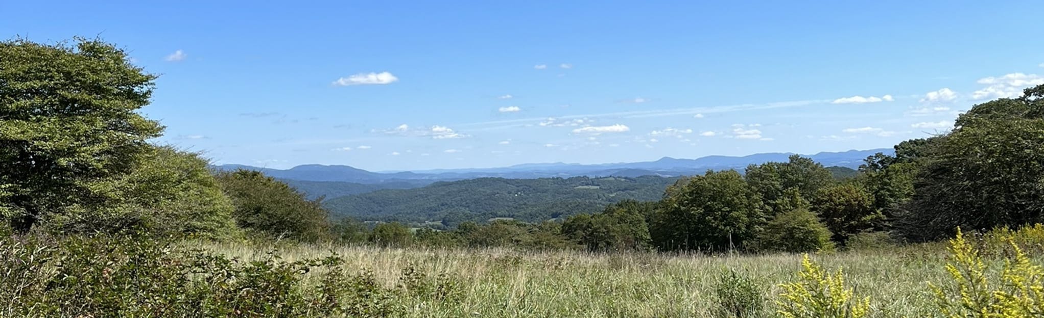 Haw Flats Trail: 41 Reviews, Map - Virginia | AllTrails