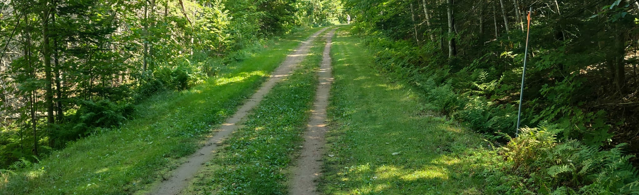 Confederation Trail: N Royalty Road to Perth Station Road, Prince ...