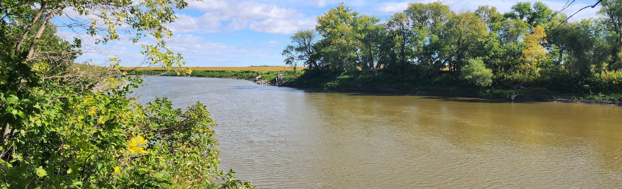 Elm Trail , Manitoba, Canada - 102 Reviews, Map | AllTrails